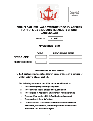 Fillable Online esteri Please attach Passport Size Photo Here BRUNEI ...