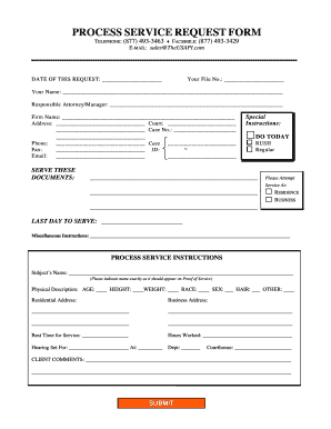Fillable Online PROCESS SERVICE REQUEST FORM - theusapicom Fax Email ...
