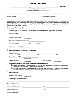 Fillable Online mercer SpouseBeneficiary Designation form - Mercer ...