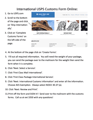 Fillable Online oneonta Internao nal USPS Customs Form Online ...