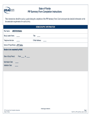 Fillable Online PIP Summary Form Completion Instructions Fax Email ...