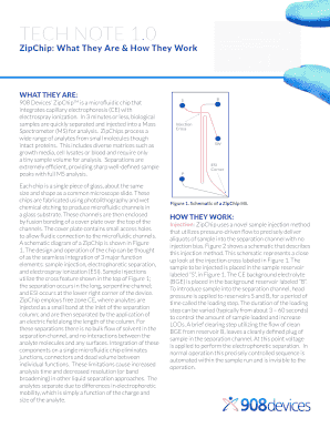 Fillable Online ZipChip How It Works - 908 Devices Fax Email Print ...