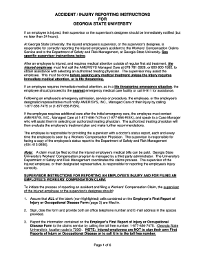 Fillable Online www2 gsu ACCIDENT INJURY REPORTING INSTRUCTIONS FOR ...