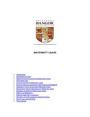 Fillable Online Maternity Scheme and Pay Entitlements (new) Fax Email ...