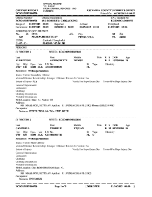 Fillable Online Offense Number Fax Email Print - pdfFiller