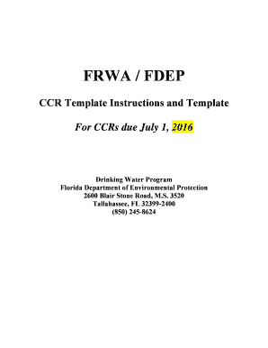 Fillable Online CCR Template Instructions and Template Fax Email Print ...