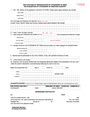 Fillable Online Renunciation Guidelines Form and Fee new 1401 Fax Email ...