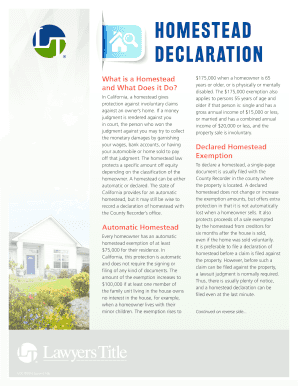 Fillable Online What is a Homestead Fax Email Print - pdfFiller