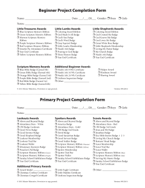 Fillable Online masterclubs Primary Project Completion Form - Master ...