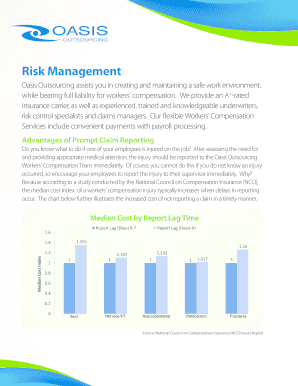 Fillable Online Oasis Outsourcing assists you in creating and ...