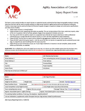 Fillable Online Aac Injury Form Fax Email Print - pdfFiller