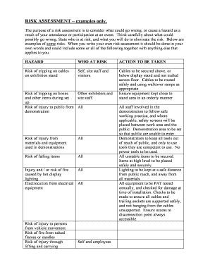 Fillable Online RISK ASSESSMENT examples only Fax Email Print - pdfFiller