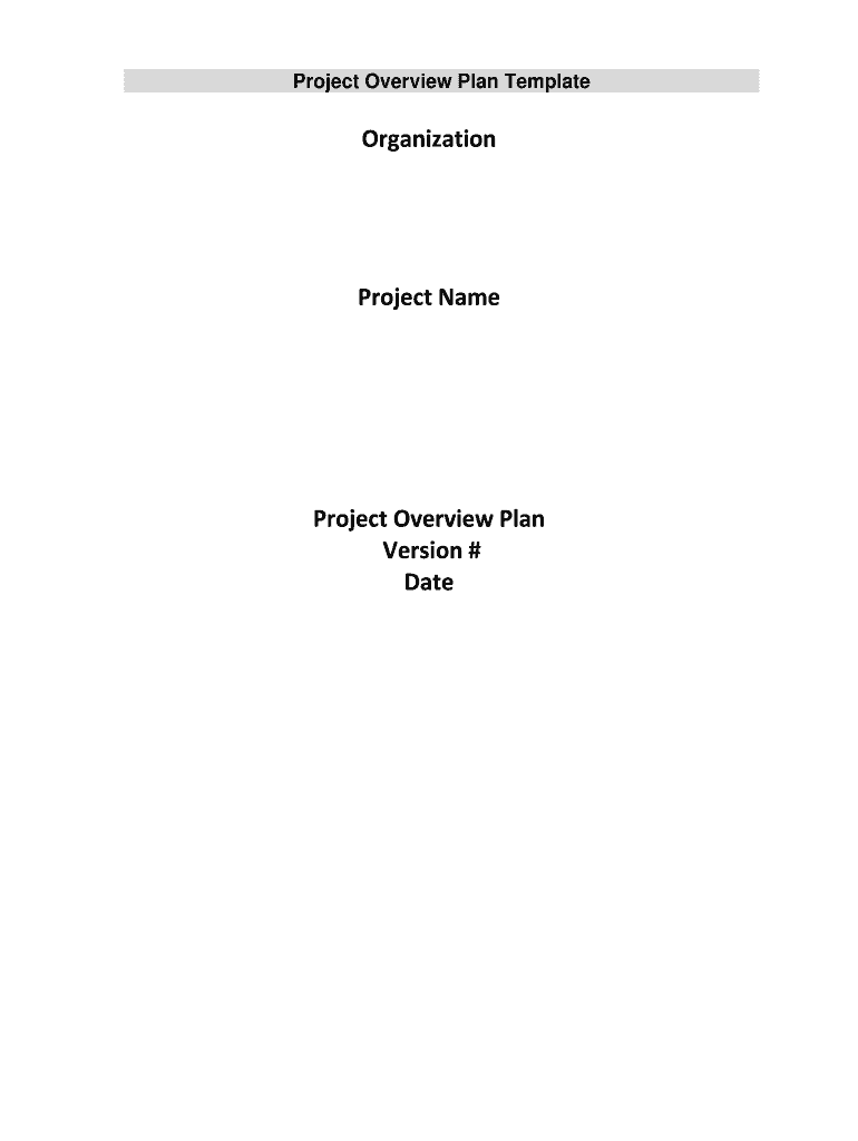 Fillable Online Organization Project Name Project Overview Plan Version ...