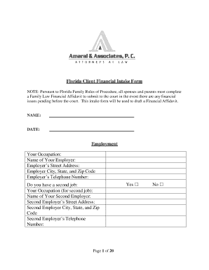 Fillable Online Florida-Financial-Intake-Formpdf Fax Email Print ...