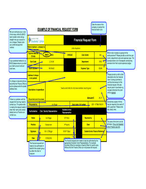 Fillable Online Enter the name of the EXAMPLE OF FINANCIAL REQUEST FORM ...