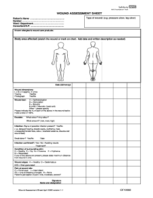 Fillable Online WOUND ASSESSMENT SHEET Fax Email Print - pdfFiller