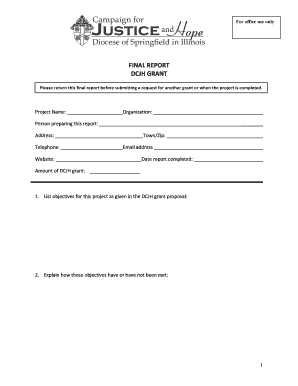 Fillable Online dio FINAL REPORT DCJH GRANT - Diocese of Springfield in Illinois Fax Email Print ...