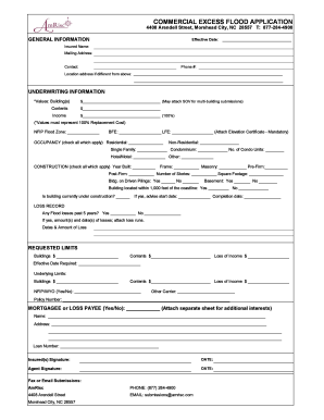Fillable Online COMMERCIAL EXCESS FLOOD APPLICATION - amrisccom Fax ...