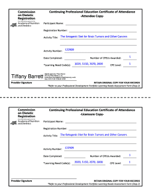 Fillable Online CPE Certificate Fax Email Print - pdfFiller
