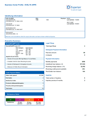 Fillable Online Business Profile Report - Experian Fax Email Print ...