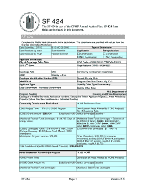 Fillable Online SF 424 The SF 424 is part of the CPMP Annual Action ...