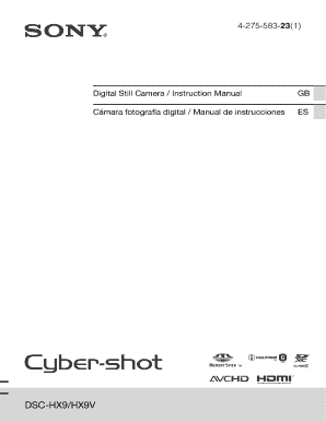 Sony Camera Owner's Record Form - Blank Fillable Template | Fill Out ...