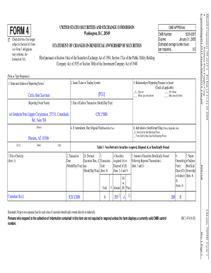 Fillable Online LISA REID AUDIOLOGY INTAKE FORM Fax Email Print - pdfFiller