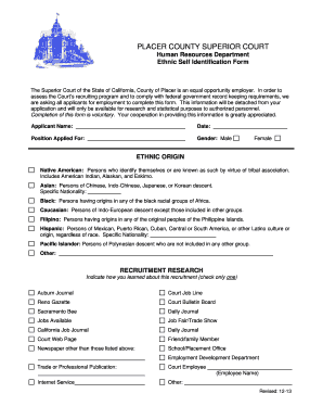 Fillable Online placer courts ca Human Resources Department Ethnic Self ...