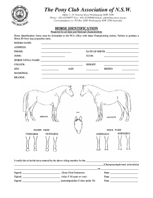 Fillable Online nsw ponyclubvic org HORSE IDENTIFICATION - Pony Club ...