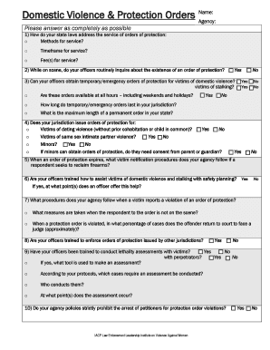 Fillable Online brighthorizonsne Domestic Violence amp Protection ...