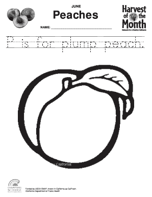 Fillable Online peachactivitysheetsgradesK-5 Downey only.pub Fax Email ...