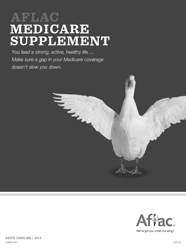 Fillable Online SC AFLAC Medicare Supplement Application Kit Fax Email ...