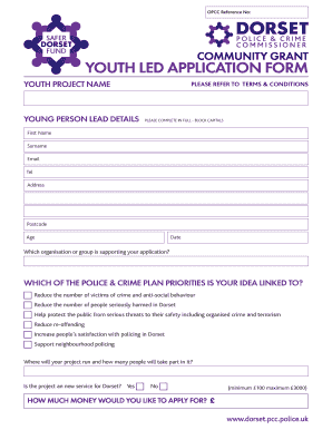 Fillable Online COMMUNITY GRANT YOUTH LED APPLICATION FORM Fax Email ...