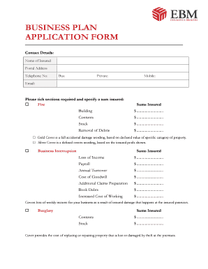 Fillable Online BUSINESS PLAN APPLICATION FORM - EBM Fax Email Print ...