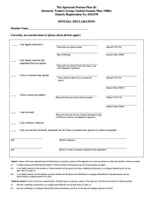 Fillable Online Spousal Declaration Form - PwC Fax Email Print - pdfFiller
