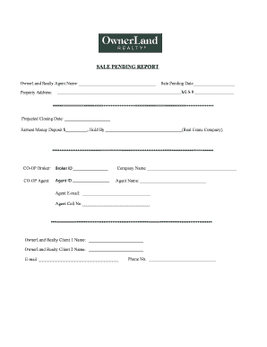 Fillable Online SALE & CLOSING REPORT Fax Email Print - pdfFiller