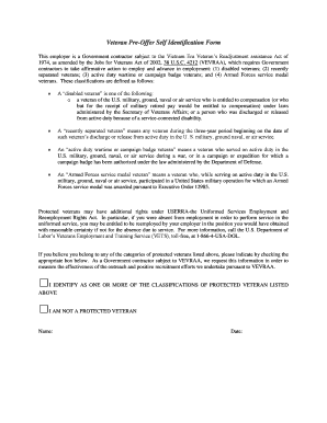Fillable Online Veteran Pre-Offer Self Identification Form ...