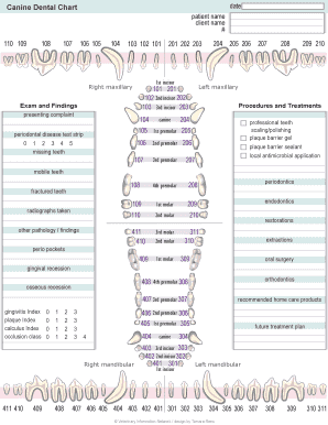 Canine Dental Chart Pdf - Fill Online, Printable, Fillable, Blank ...