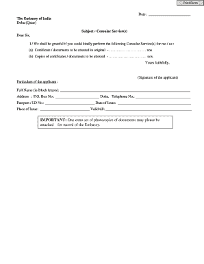 Fillable Online The Embassy of India Fax Email Print - pdfFiller