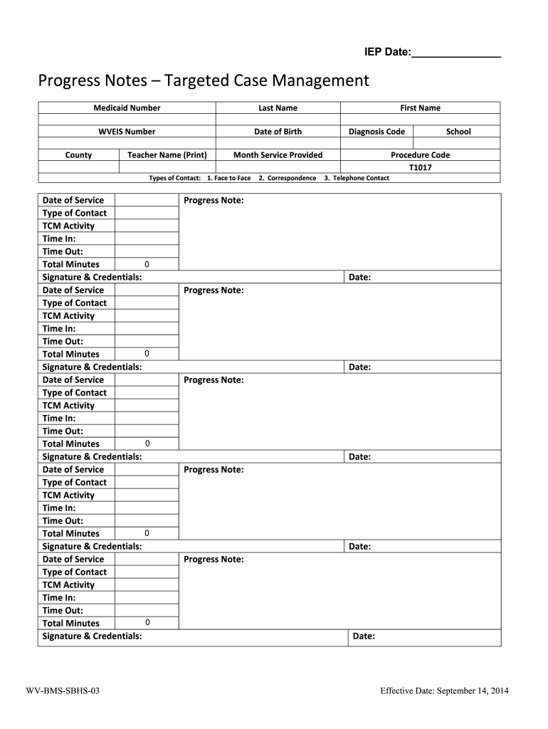 Targeted Case Management Forms Fill And Sign Printable Template 