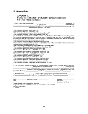 Fillable Online Format for SCST bCertificateb Fax Email Print - pdfFiller