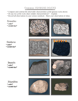 Fillable Online Common Common IGNEOUS ROCKSROCKS Fax Email Print ...
