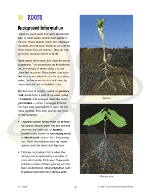 Fillable Online UE Botany.index - North American Montessori Center Fax ...