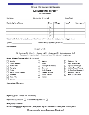 Fillable Online Monitoring Report in PDF Fax Email Print - pdfFiller