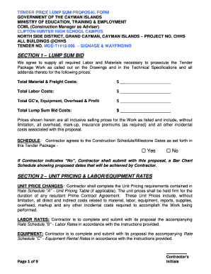 Fillable Online TENDER PRICE LUMP SUM PROPOSAL FORM Fax Email Print - pdfFiller