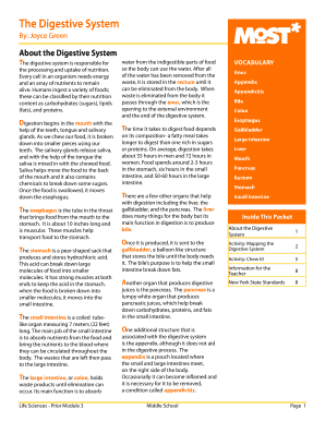 Fillable Online most The Digestive System - Museum Information - most ...