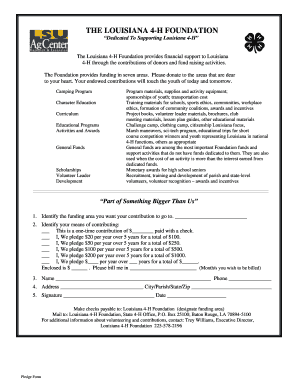 Fillable Online LOUISIANA 4-H FOUNDATION - lsuagcentercom Fax Email ...