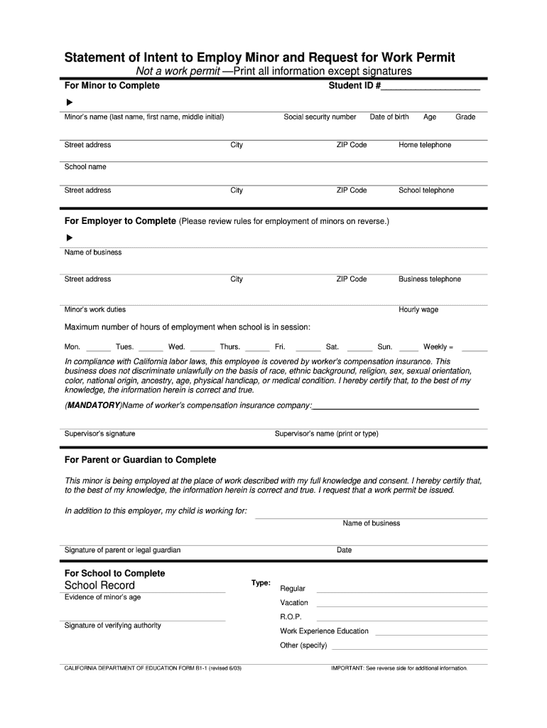 Work Permit Form Pdf Fill Out Sign Online DocHub