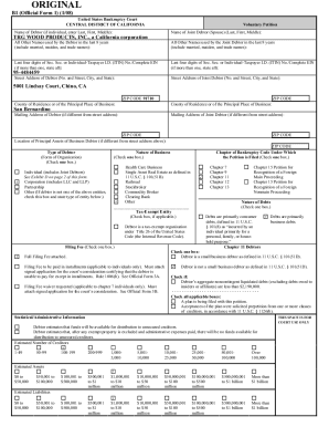 Fillable Online B1 (Official Form 1) (1/08) United States Bankruptcy ...