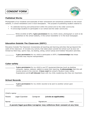 Fillable Online Student Consent Form2014 - bQueenstownb Primary ...